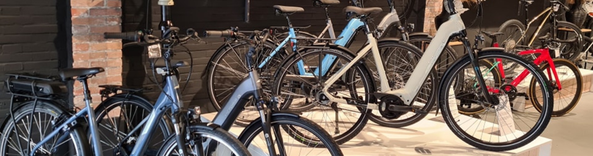 Ben je op zoek naar een nieuwe fiets? Groenendijk Tweewielers